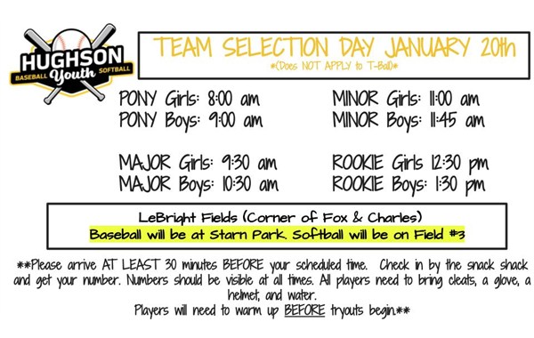 Home [www.hughsonyouthbaseball.com]