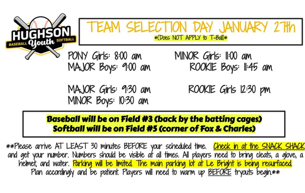 Home [www.hughsonyouthbaseball.com]